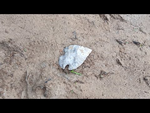 2025 Soil Surface Arrowheads - Arrowhead Hunting - Missouri