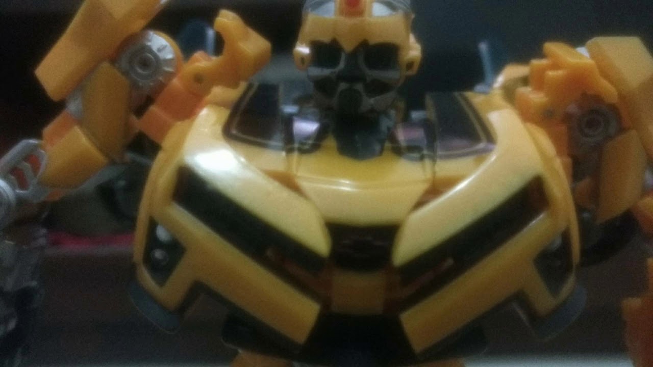Bumblebee stop motion - YouTube