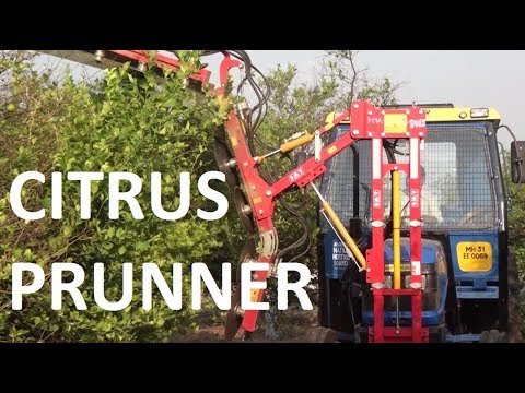 CITRUS-PRUNNER | ICAR-CCRI NAGPUR - YouTube