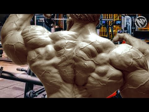 BACK DAY - BEST PREWORKOUT MOTIVATION 💥