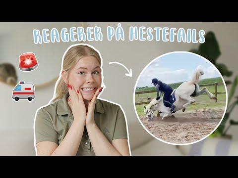 REAGERER PÅ MINE FØLGERES HESTEFAILS *slemt styrt*
