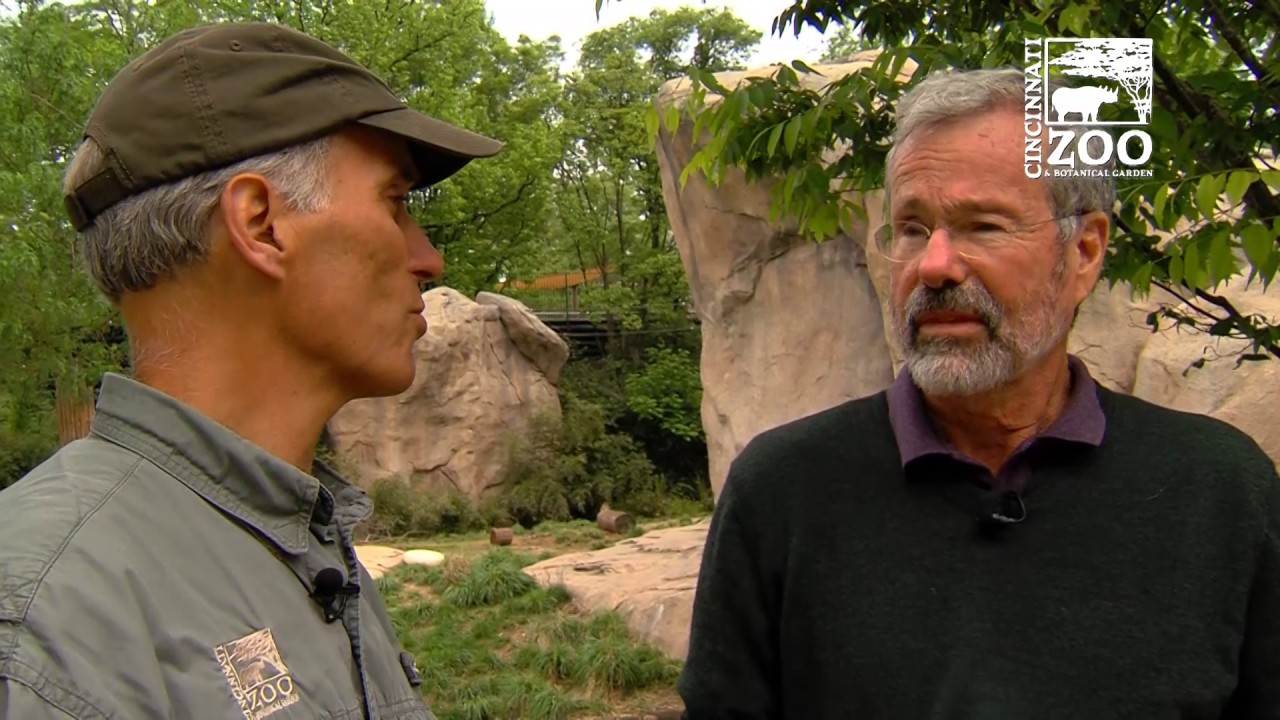 25th Wildlife Conservation Award Winner Dr. Craig Packer - Cincinnati ...