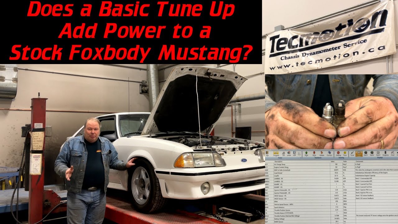 Does a Basic Tune Up Add Power to a Stock 5.0 Foxbody Mustang? - YouTube