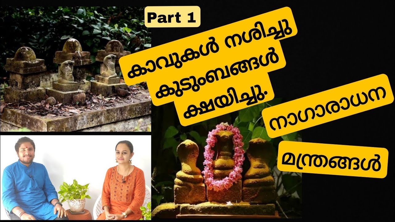 NAGA ARADHANA/NAGA MEDITATION/NAGA ENERGY@ALEXANJANAVLOGS - YouTube