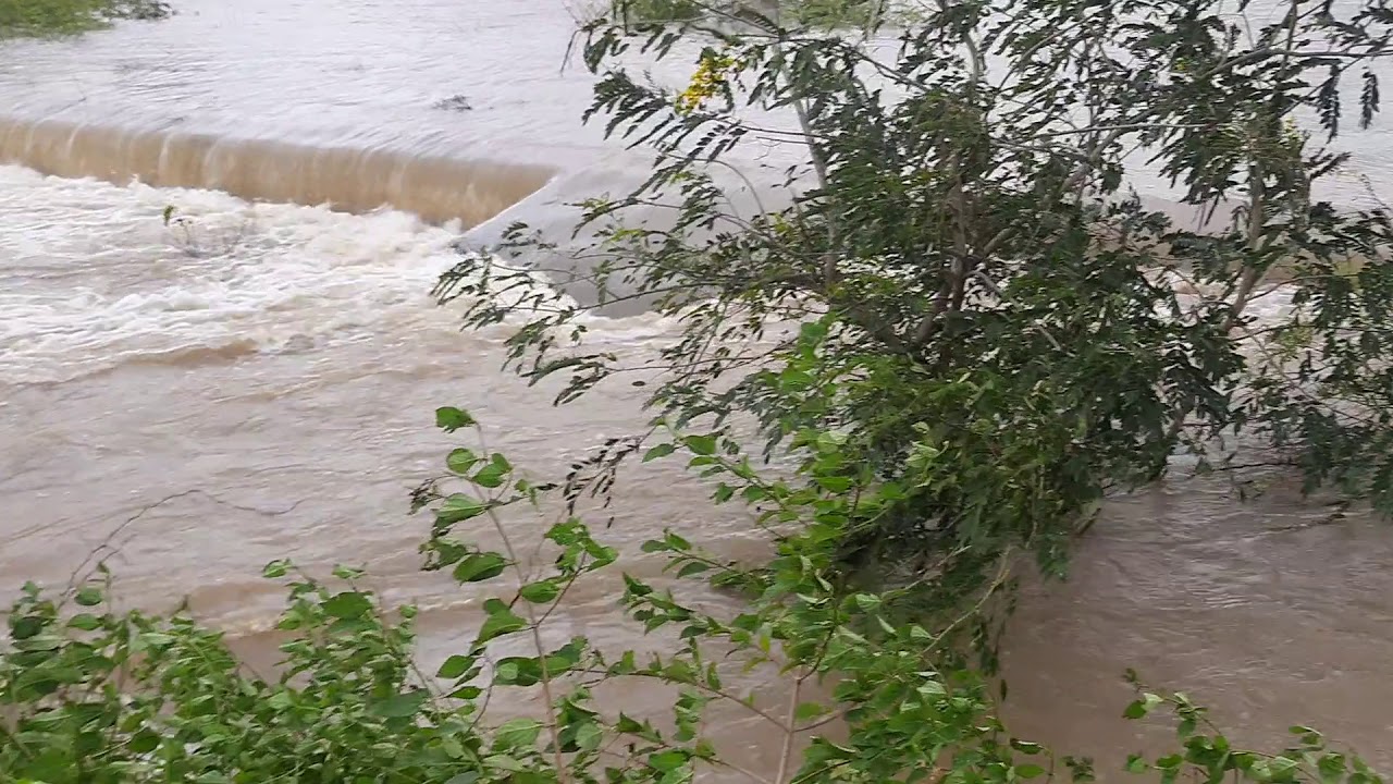 Pakala cheruvu in Chittoor dst Andhra Pradesh - YouTube