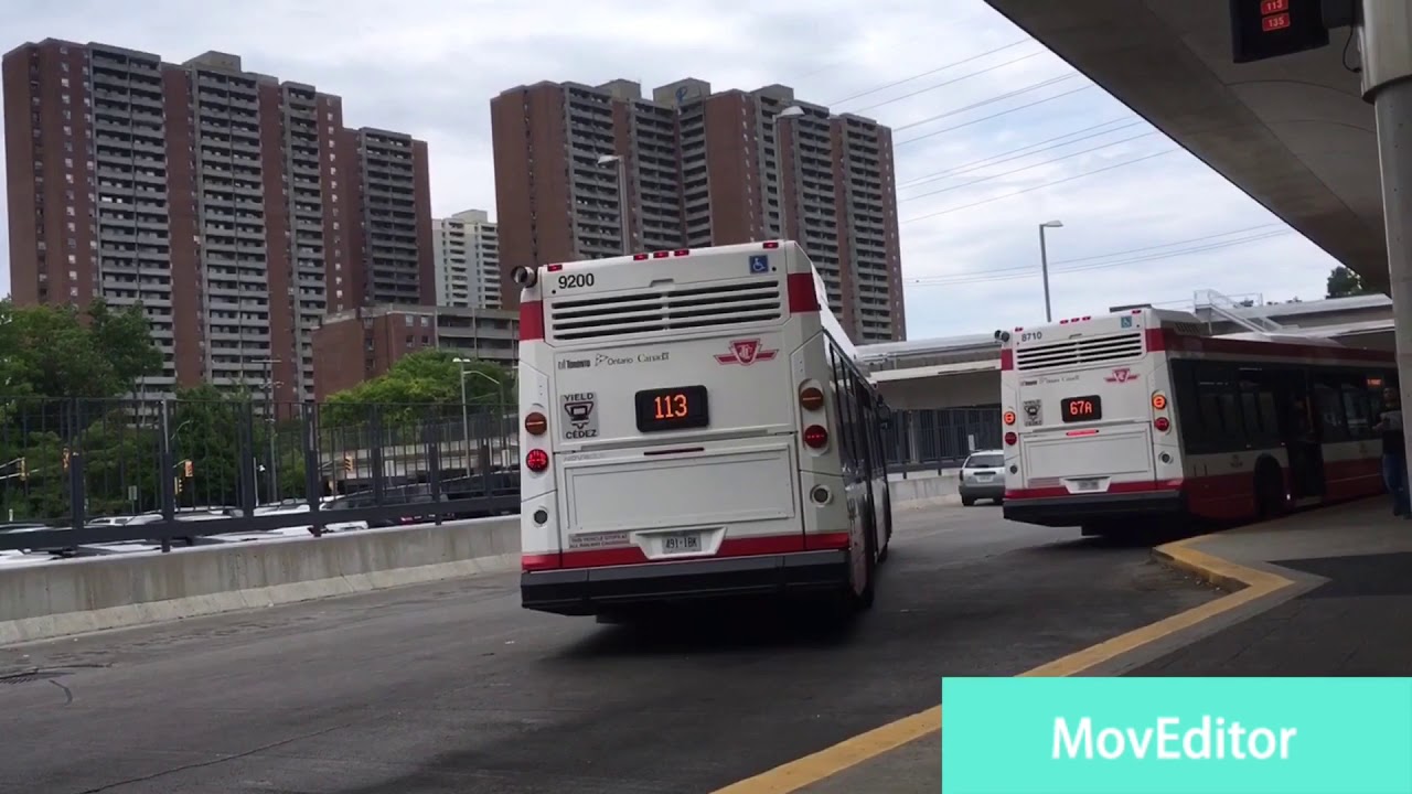 TTC Buses at Victoria Park Station - YouTube