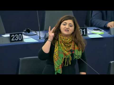 Özlem Alev Demirel (DIE LINKE) "Biji berwxedana Rojava - es lebe der Widerstand in Rojava" - YouTube