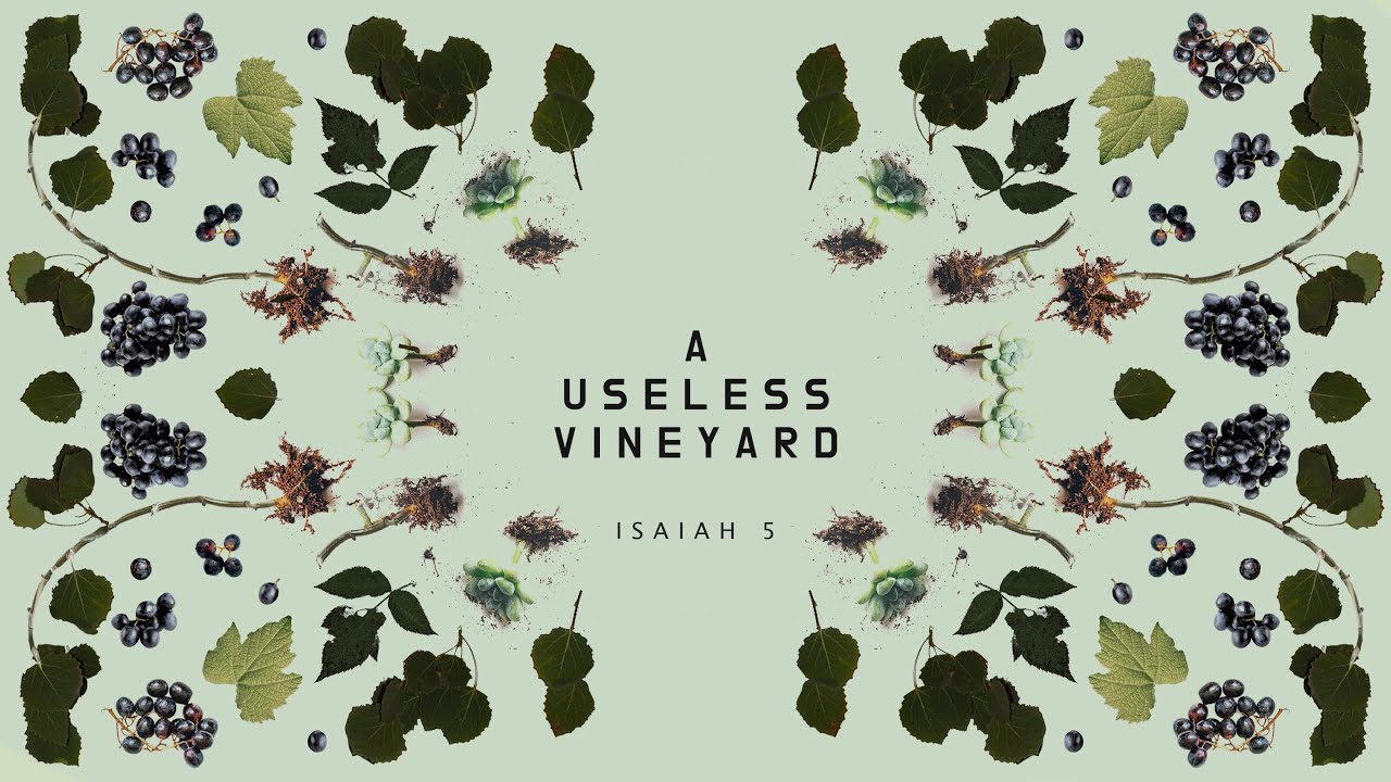 Useless Vineyard (Isaiah 5) - YouTube