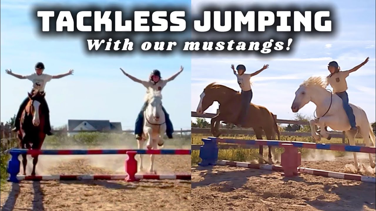 Tackless Jumping on Mustangs! // Riding Vlog with @CollectHorsemanship ...