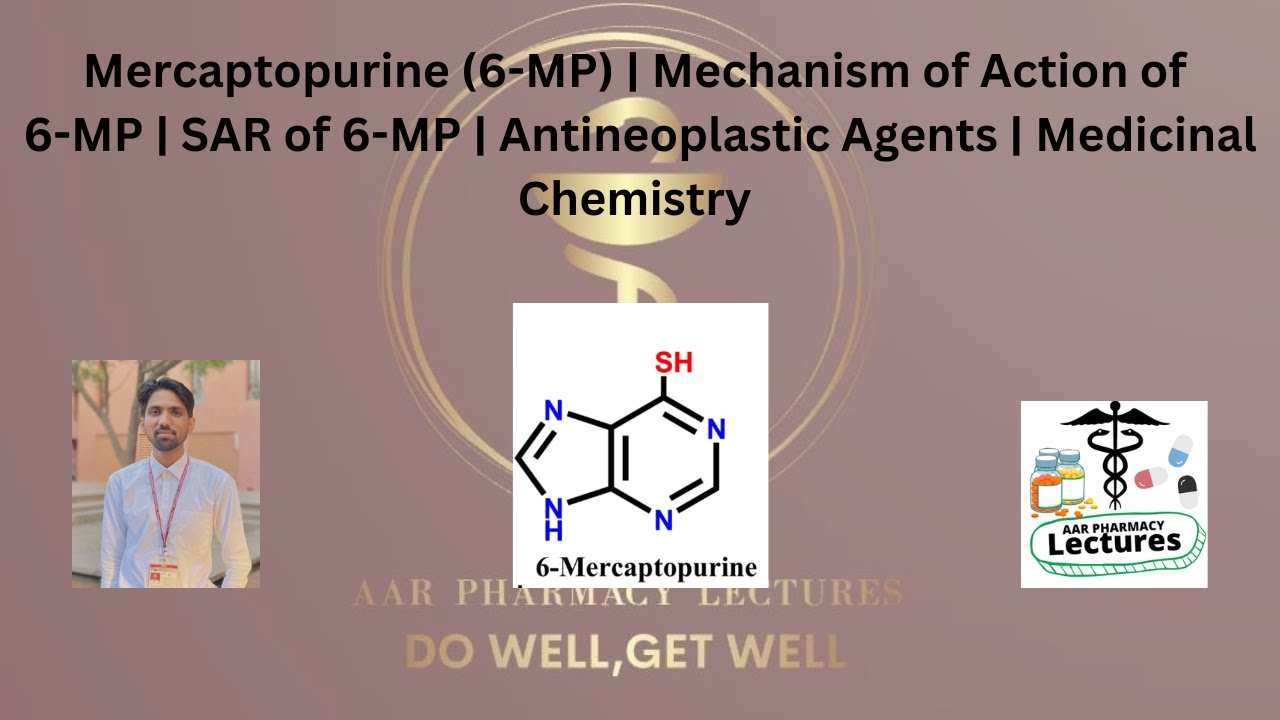 Mercaptopurine (6-MP) | Mechanism of Action of 6-MP | SAR of 6-MP ...
