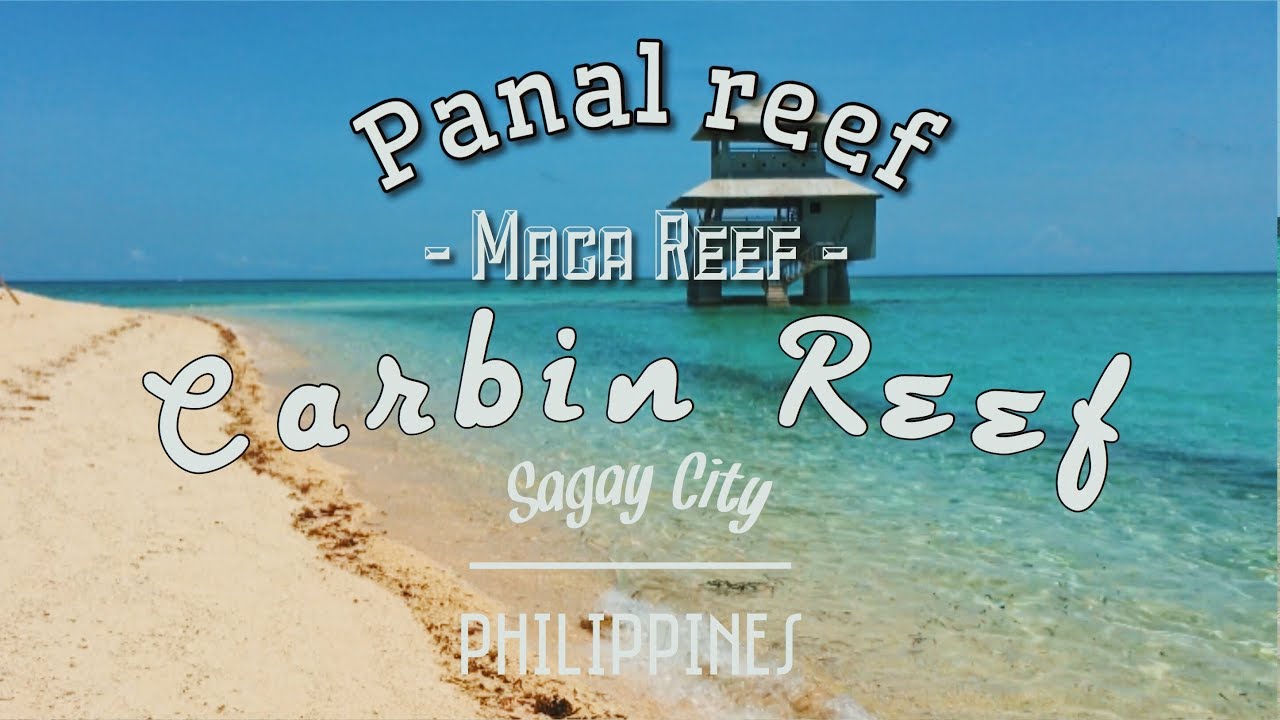Carbin Reef | Panal Reef | Maca Reef | Sagay City Negros Occidental ...