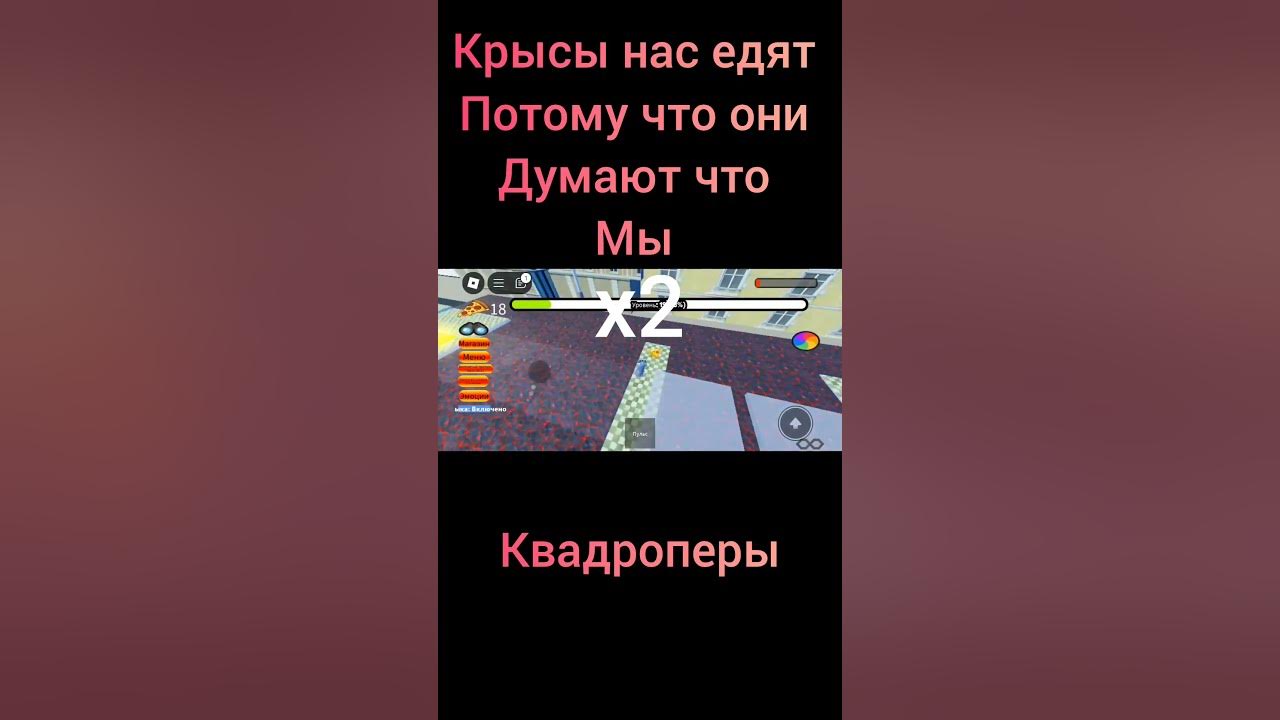 Крысиное обби. Т рейлер #роблокс. #Крысиное оббих - YouTube