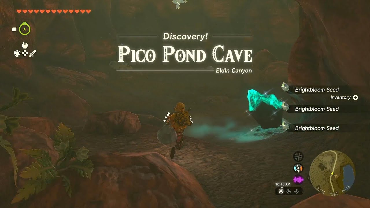 Pico Pond Cave | The Legend of Zelda Tears of the Kingdom | Sharv Bit ...