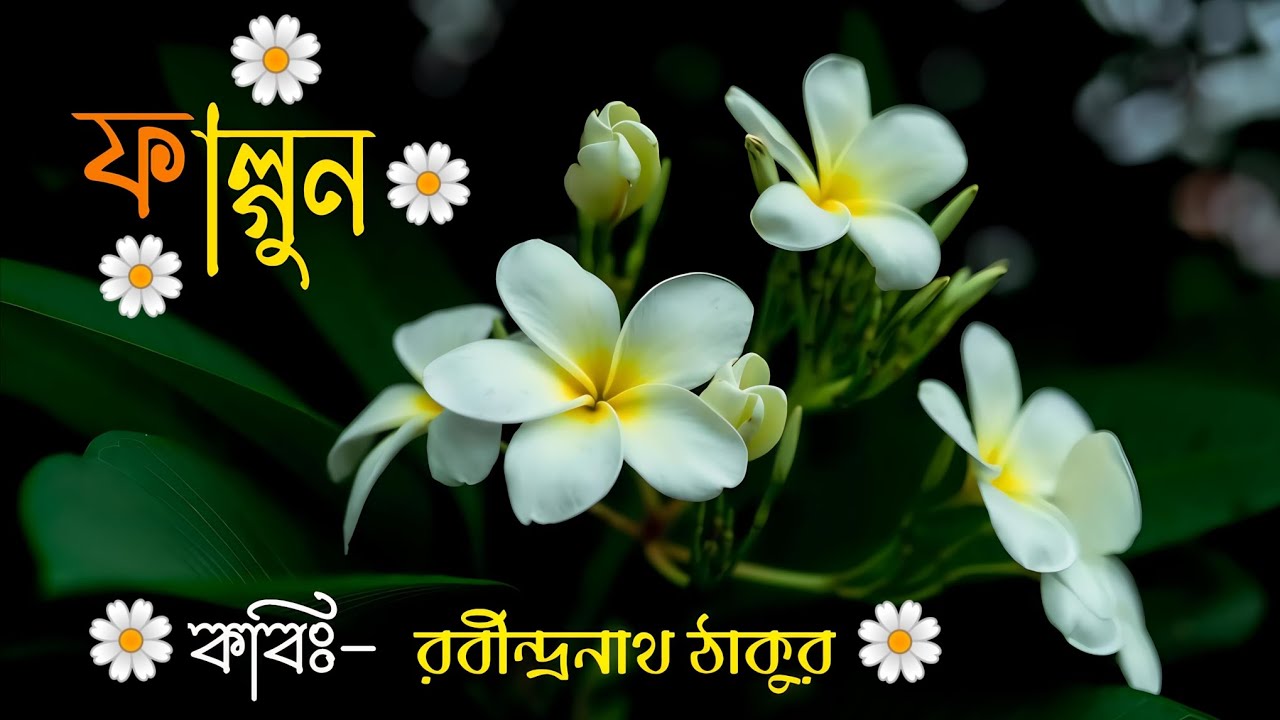 ফাল্গুন কবিতা । Falgun kobita । Rabindranath Thakur Kobita। chotoder ...