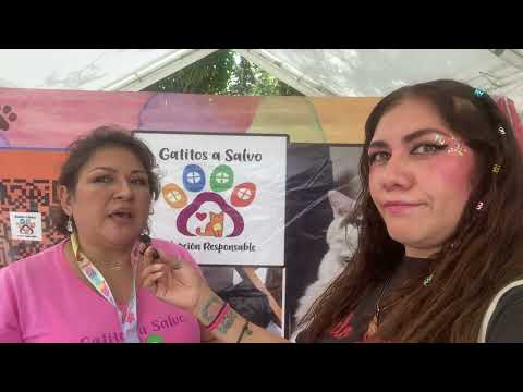 TIEMPOS Y MOVIMIENTOS con @GATITOSASALVO 