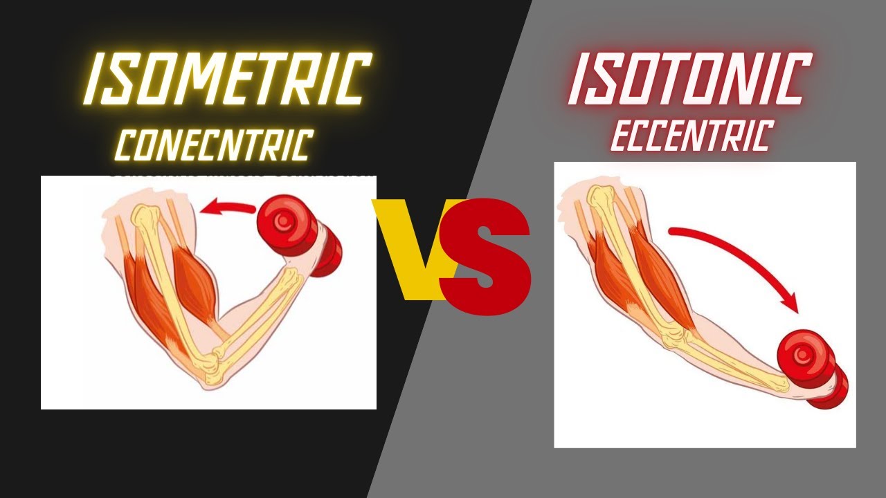 What is the difference between isometric and isotonic| Concentric and ...