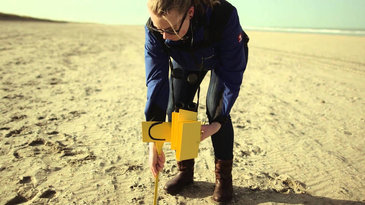 The Sand Motor - Passionate Research - YouTube