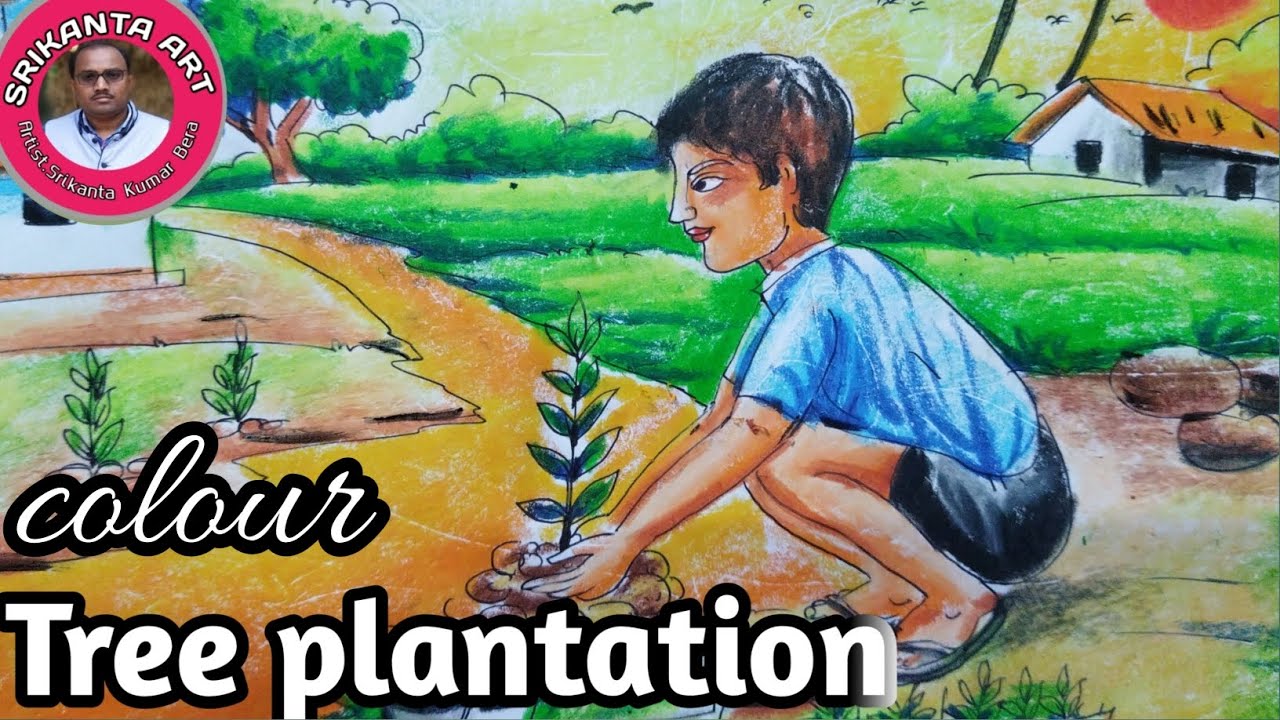#how to draw the picture of Tree plantation.how to draw butifull ...