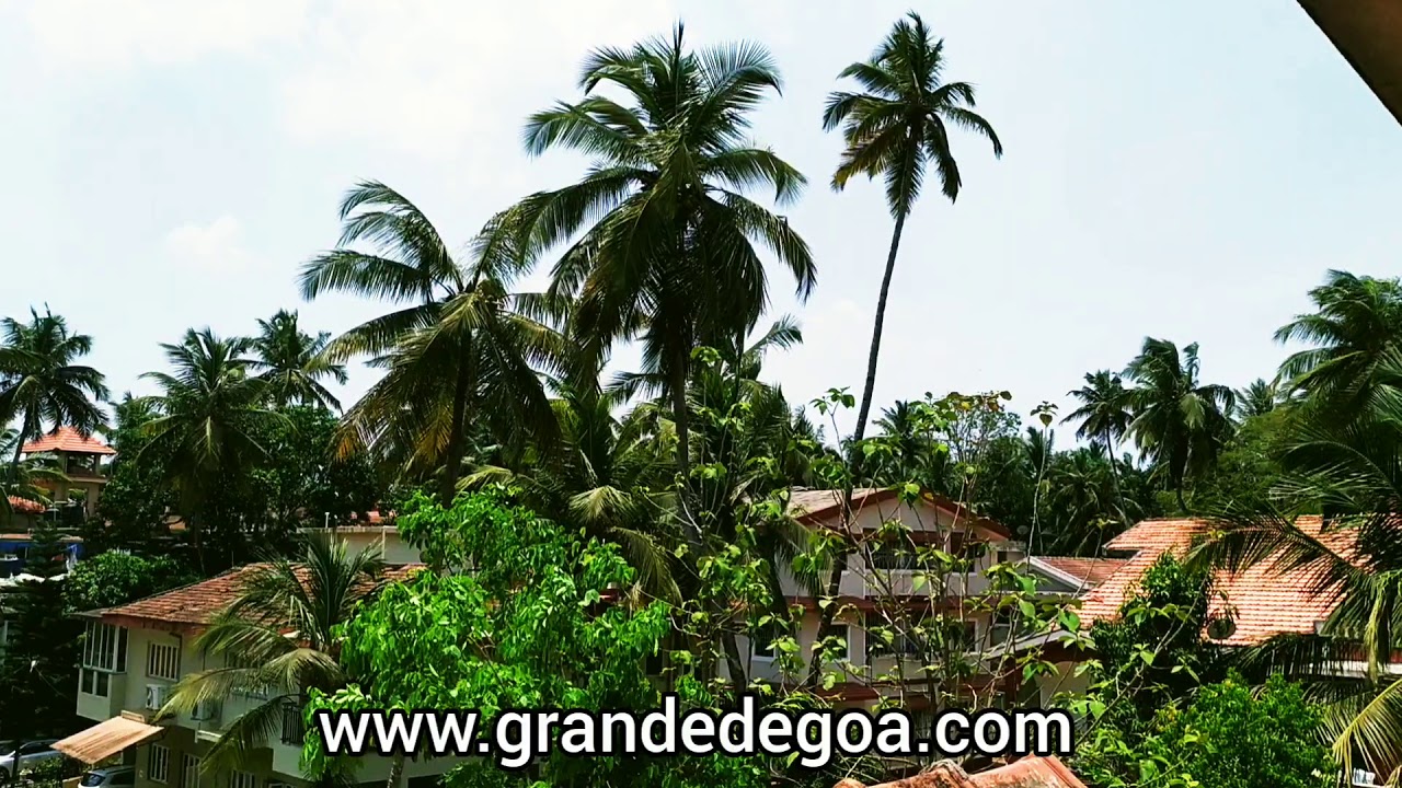 Goa - Surrounded by abundant greenery 🌿🌴💚 - YouTube