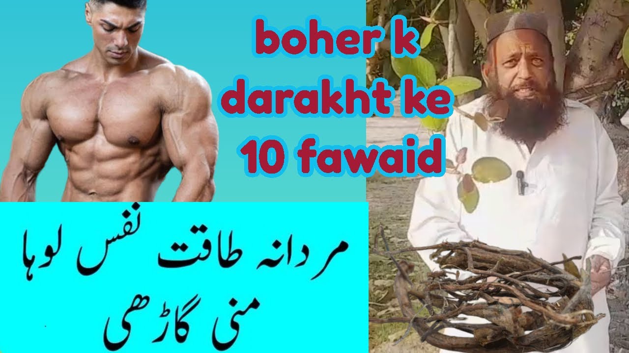Bohar Ky Darakht Ky 10 /Fawaid /mrdana kamzoro /hkeem Abrar hussain ...