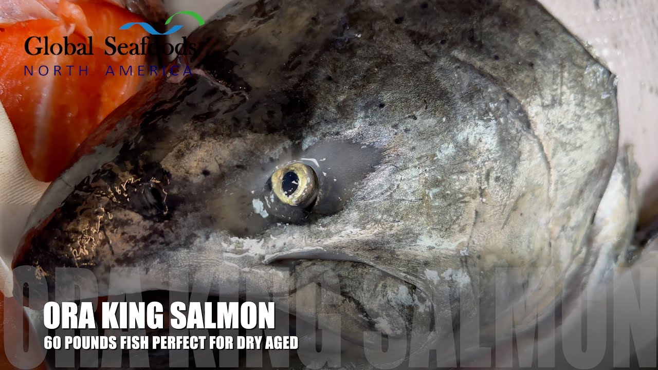 Exclusive Dry-Aged Ora King Salmon: Over 60 Pounds, Only 1500 Worldwide ...