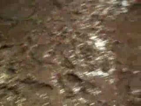 Ozora 2007 - Mud Dancing - YouTube