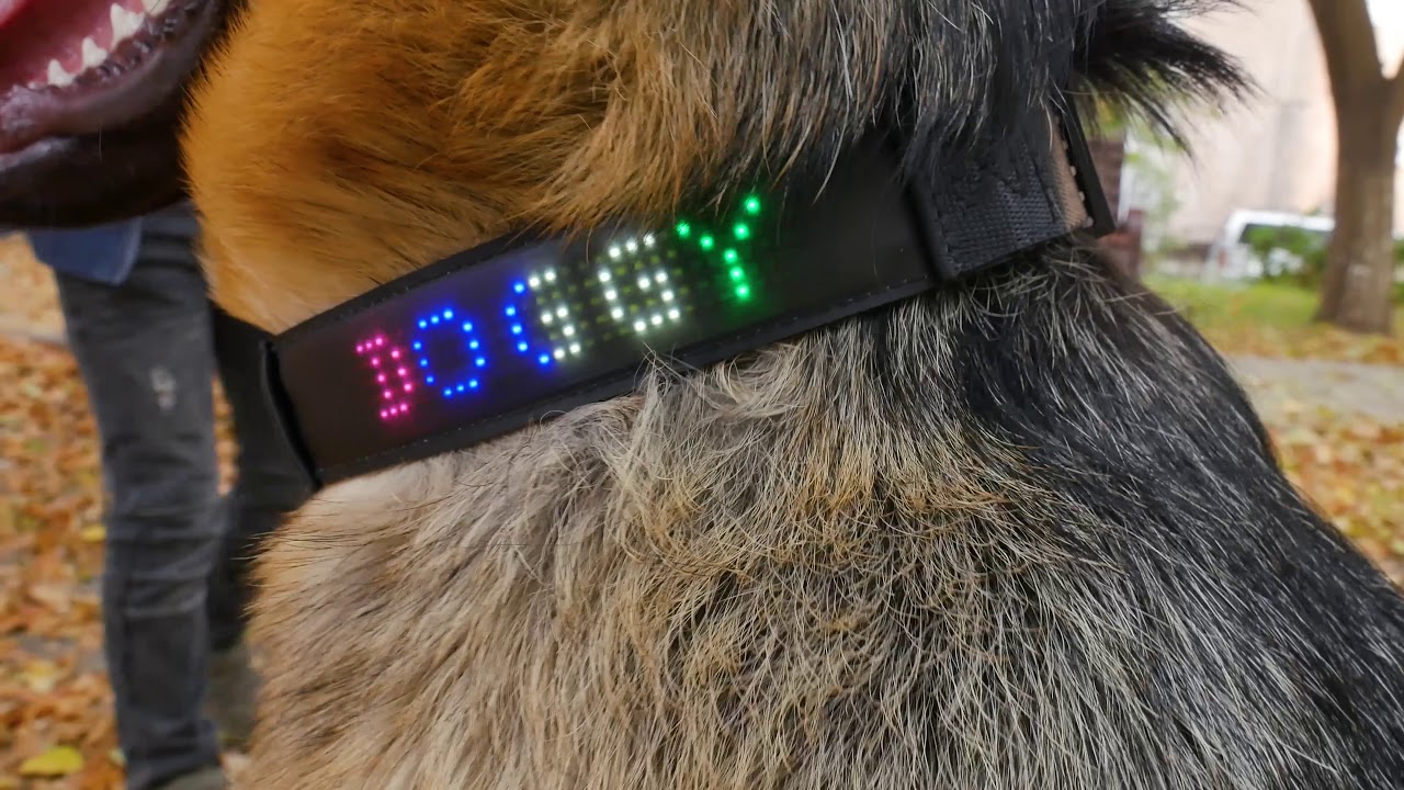 best smart C25 led dog collar with app controlled - YouTube