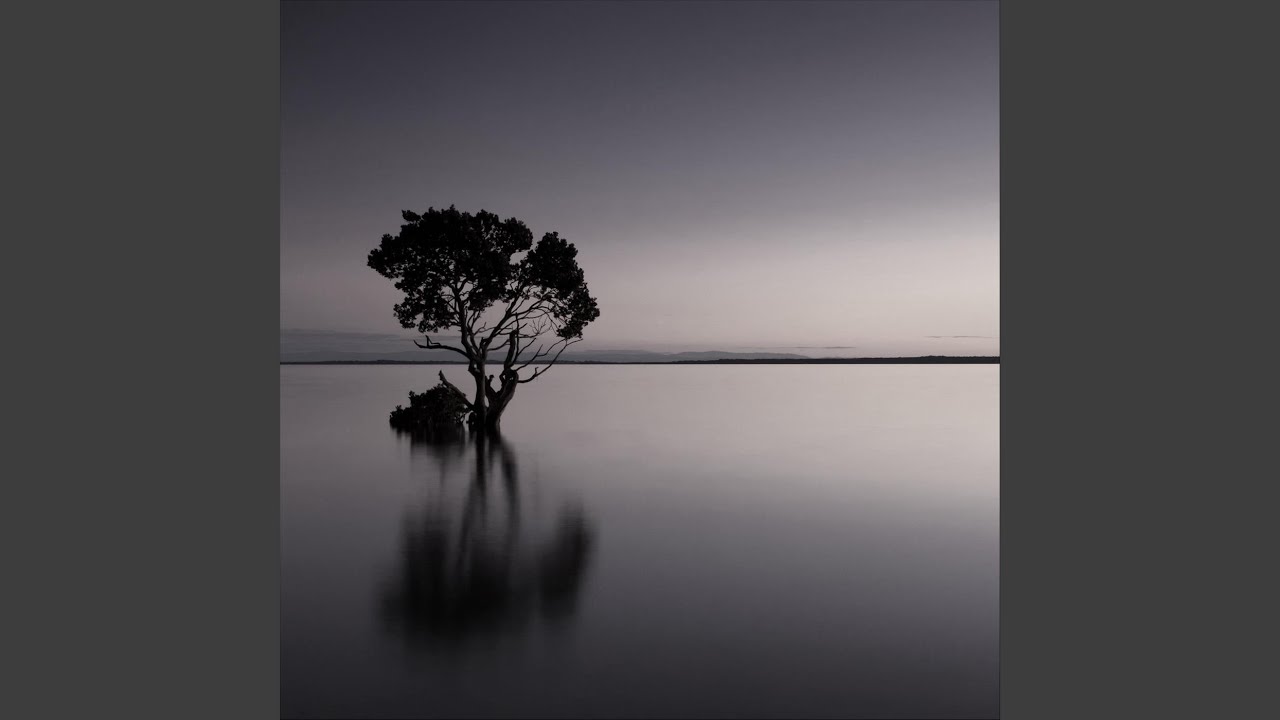 Empty Fields - YouTube