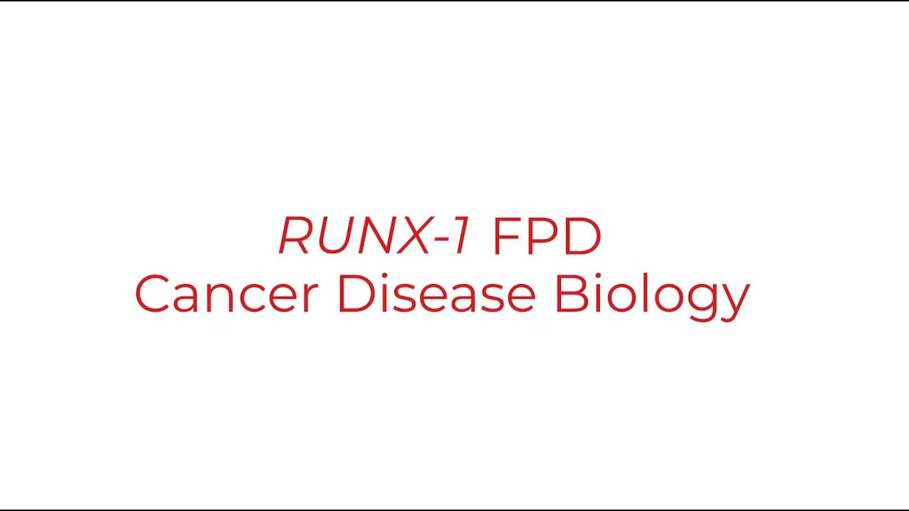 RUNX1 Cancer Disease Biology - YouTube