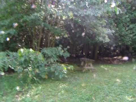 Michael Elvidge walk near the pond at family cottage August 14 2021 ...