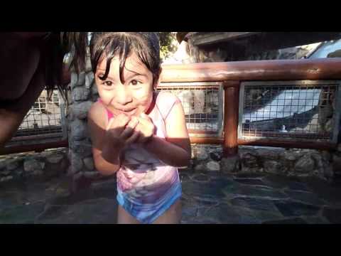 Daisy Garcia's live broadcast