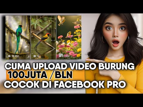 Konten Burung AI Ini Bisa Viral di Facebook Pro (Padahal Gampang Banget Bikinya!)