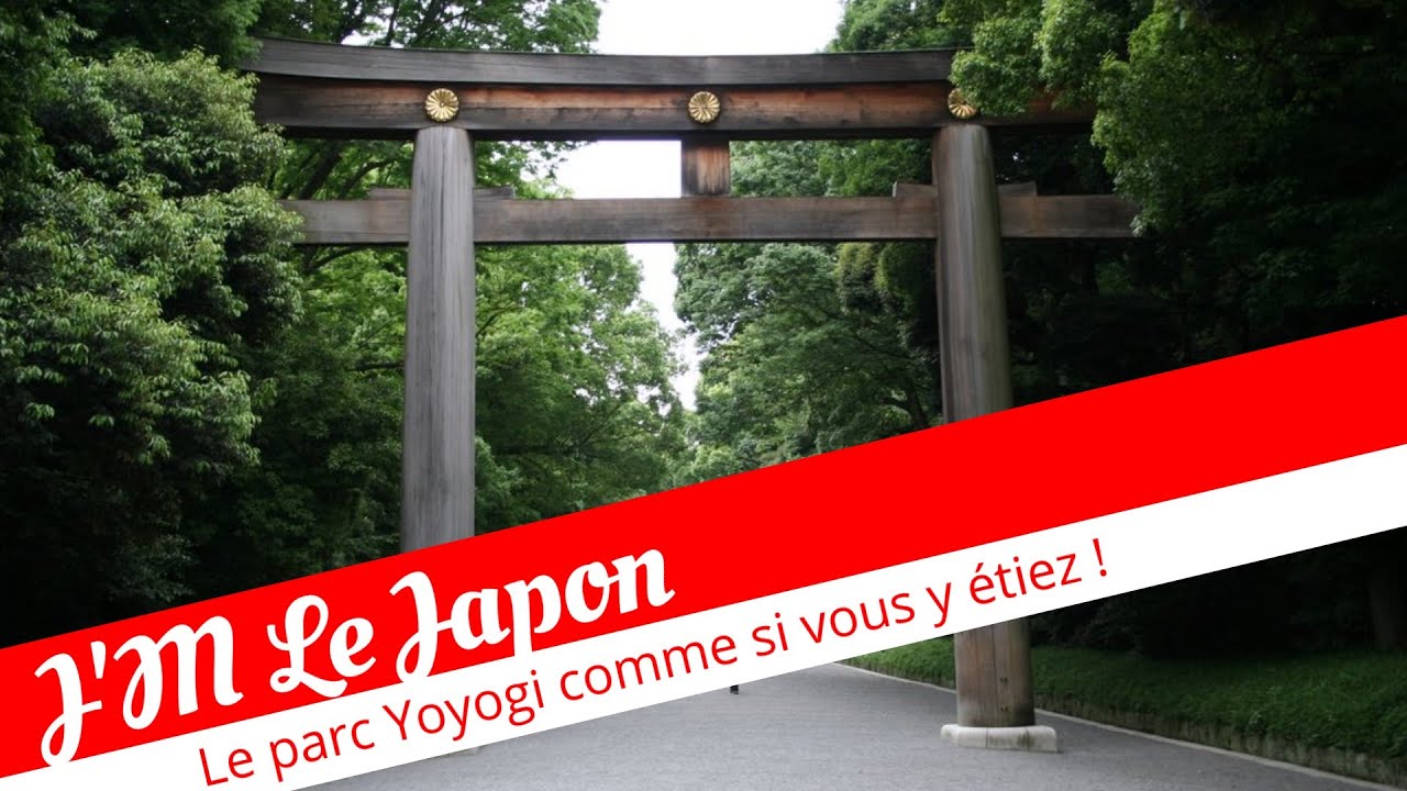 📹 Vlog : Le parc Yoyogi (代々木公園, Yoyogi kōen), au cœur de Harajuku ...
