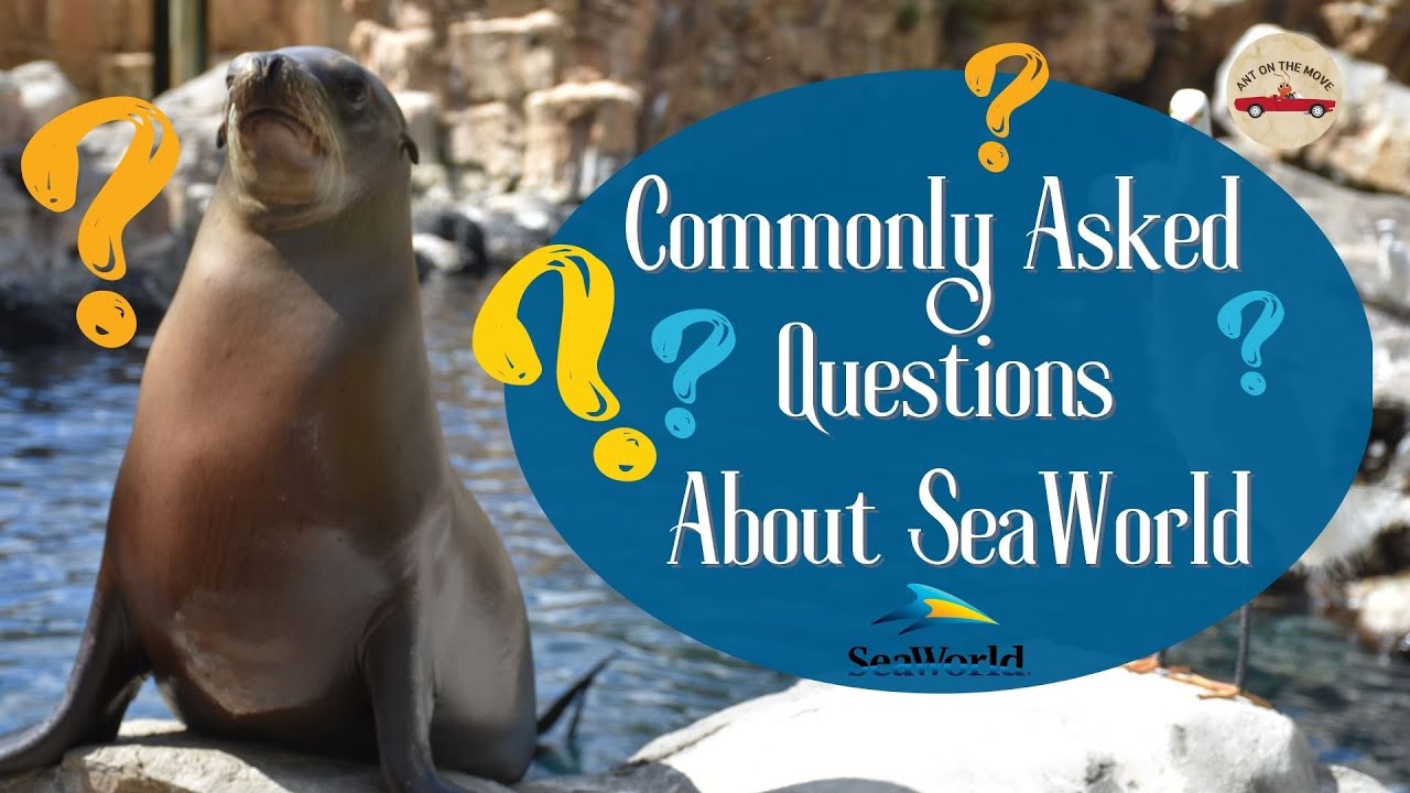 Commonly Asked Question About SeaWorld Orlando - YouTube