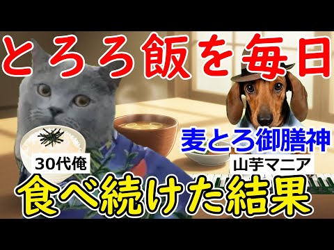 【猫ミーム】山芋って本当に健康にいいの？メタボな俺が毎日食べた結果ｗ