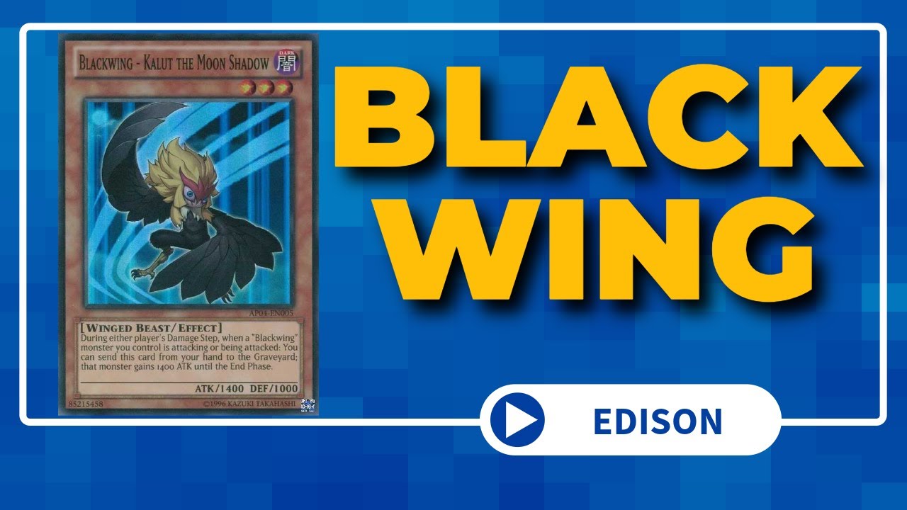 Blackwings go craaaazy | Decklist included! - YouTube