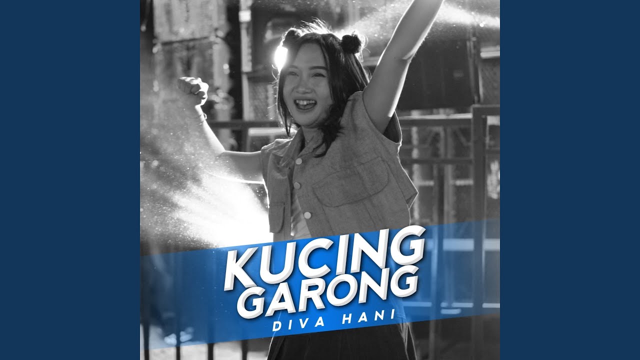 Kucing Garong - YouTube