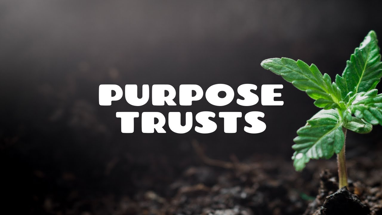 Purpose Trusts - YouTube