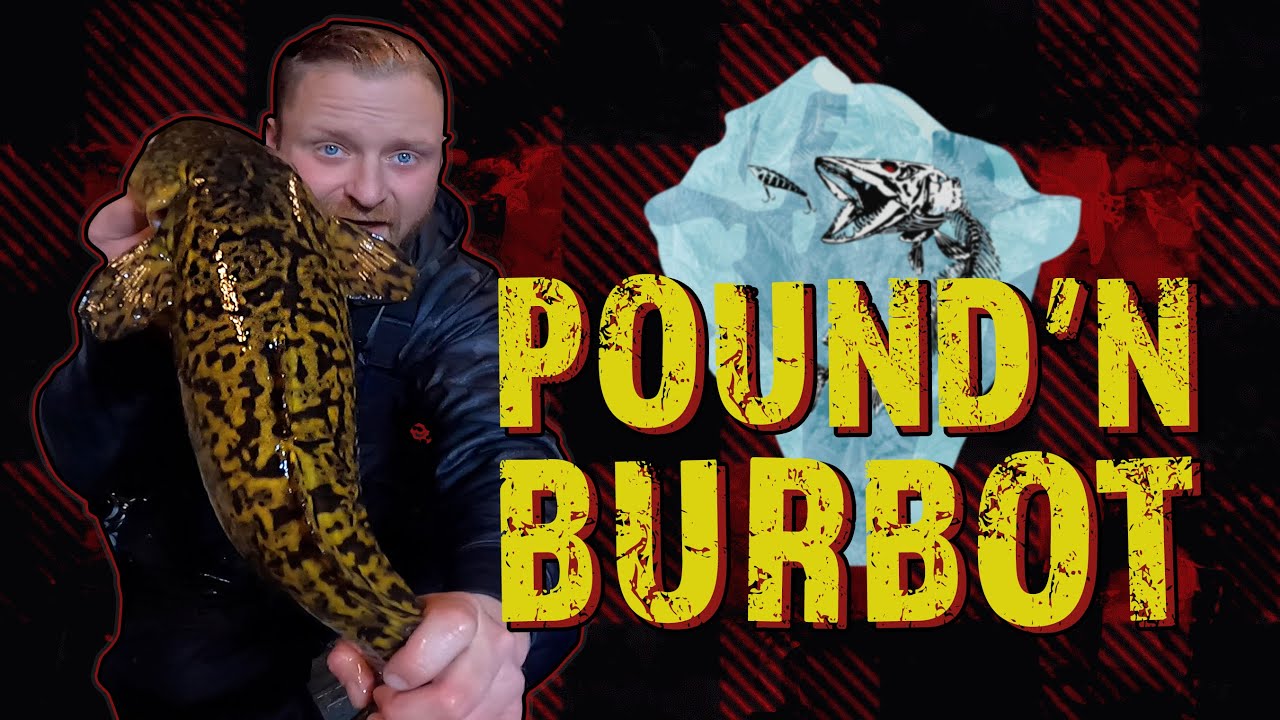 Pound'n Burbot Spawn / Fishing for Spawning Eelpout - YouTube