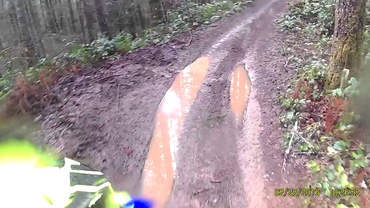 Howell lake loop trail at Tahuya state forest - YouTube