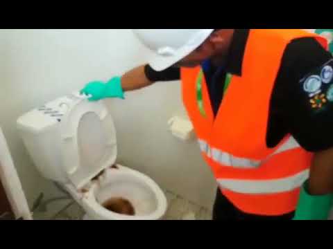 ADA LAYANAN KAMAR.. PANTESAN AJA BETAH KERJA DI HUTAN #cateringservice #housekeeping #duniatambang