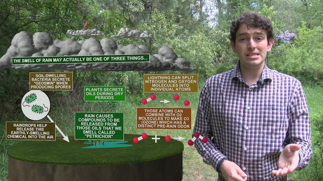 3D Weather: Petrichor, the smell of rain - YouTube