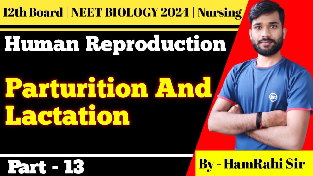 HUMAN REPRODUCTION CLASS 12th | NEET 2024-25 | PARTURITION AND ...
