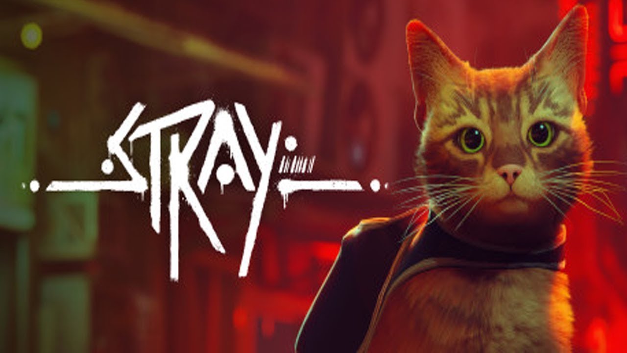 🐈🐈🐈Stray (Completo)🐈🐈🐈 - YouTube