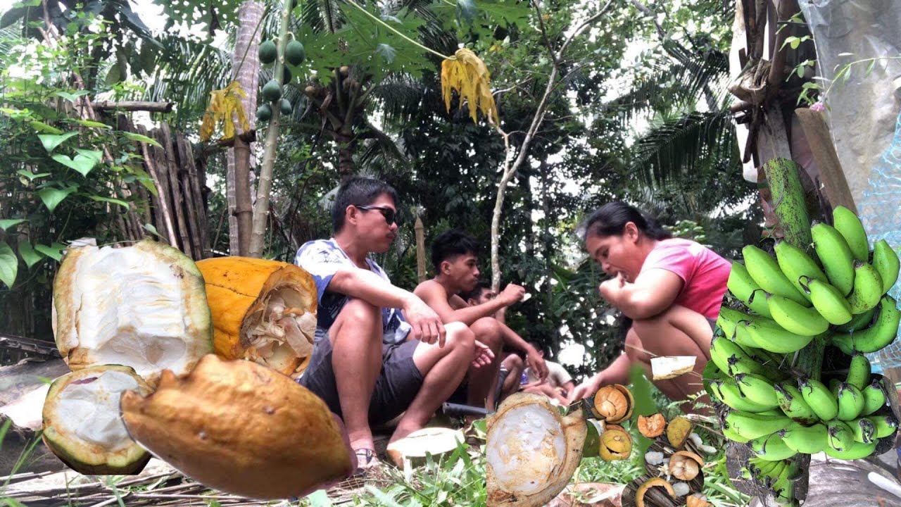 PAGKUHA NG BUKO AT PAGKAIN AT IBA PANG PRUTAS - YouTube