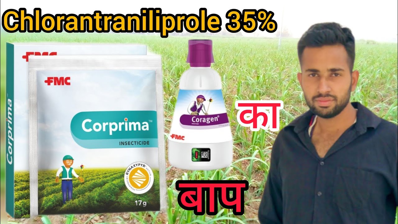 FMC Corprima insecticide। Chlorantraniliprole 35% - YouTube