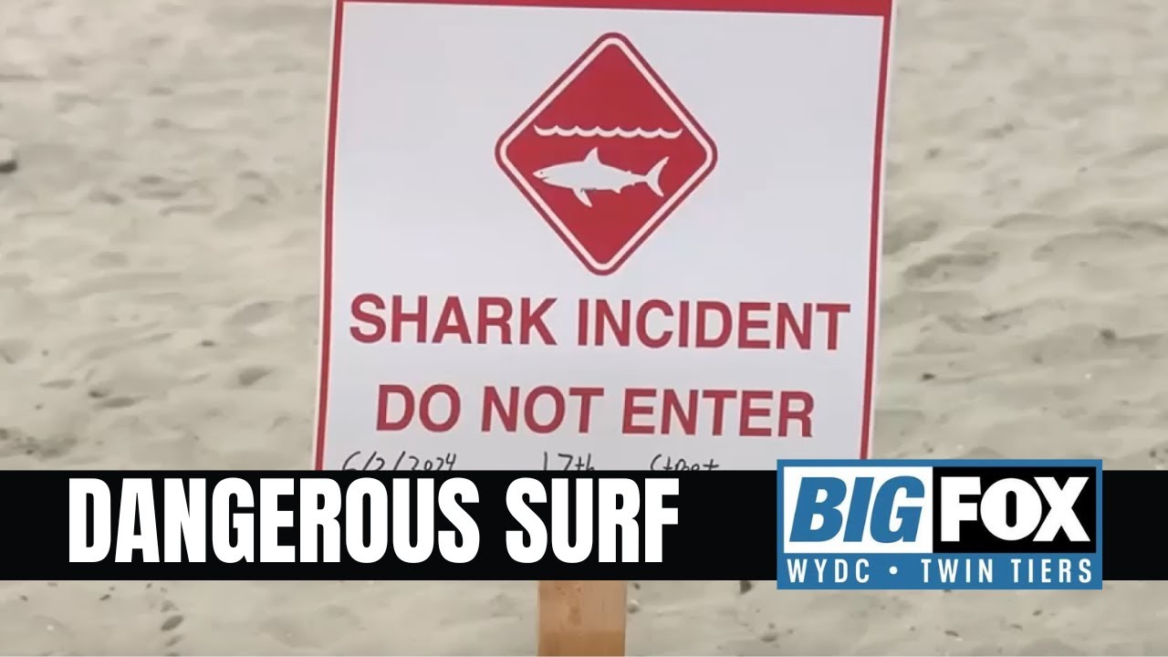 Shark Attack Prompts Beach Closure: Del Mar, CA Issues Urgent Warning ...