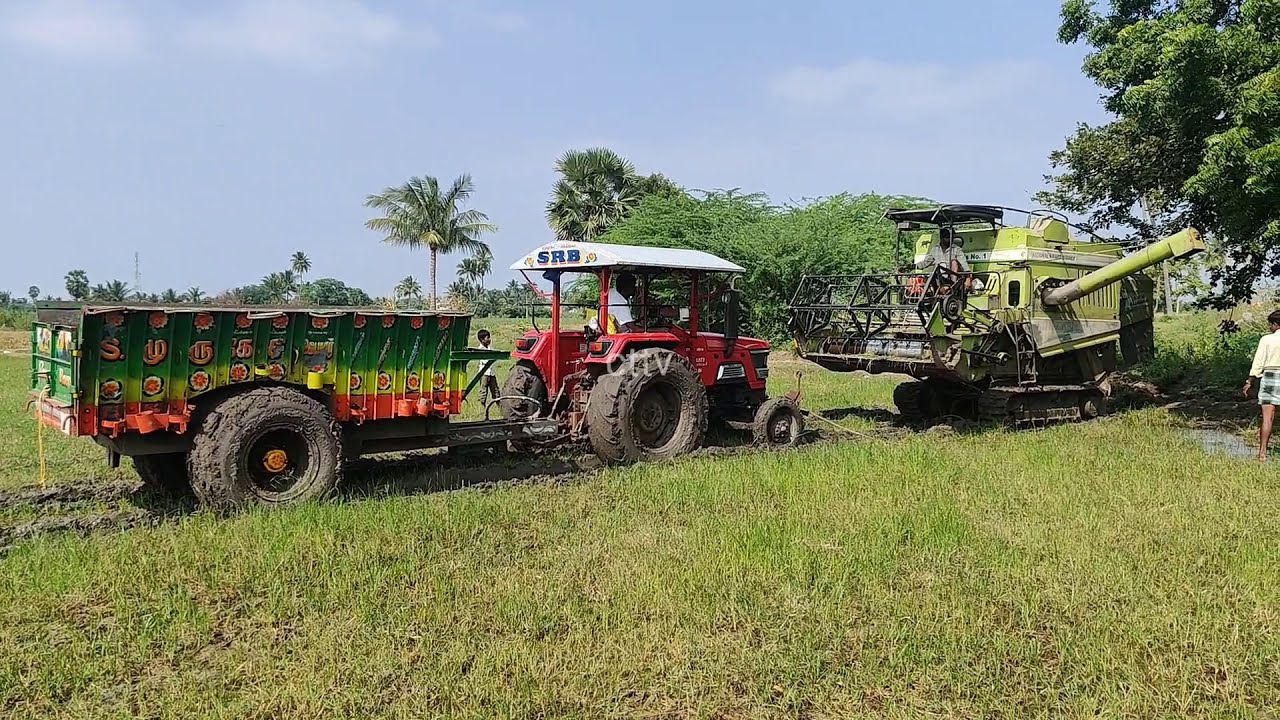 Mahindra 555 Arjun rice trolley stuck mud Rescued by Claas Crop Tiger ...