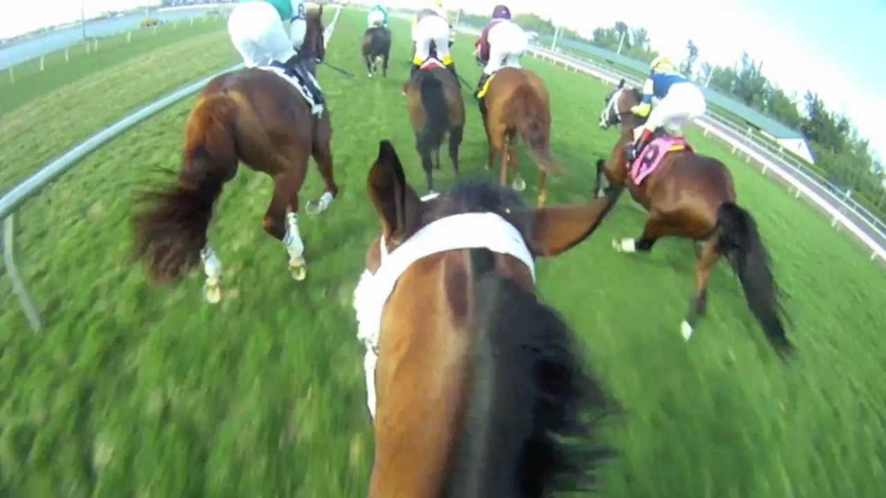 Paco Lopez Jockey Cam: Ride the Race with EquiSight at Gulfstream in HD ...