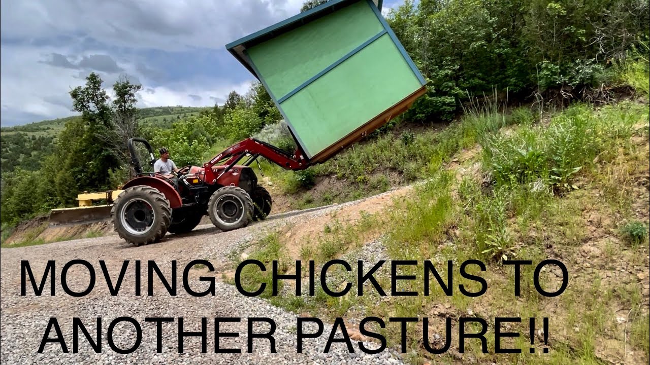 MOVING A HUGE CHICKEN COOP UP a STEAP DRIVEWAY | living off grid - YouTube
